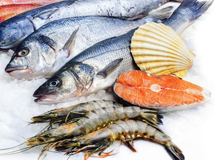 بحث عن الاسماك | Ra2ed